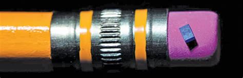 The Quantum Ecosystem Of The Future