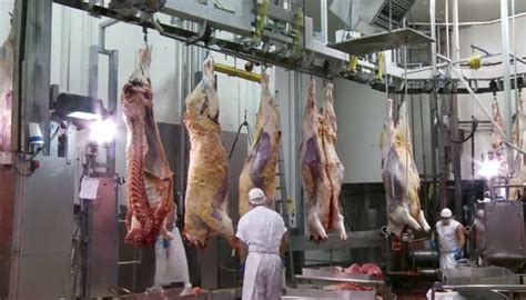JBS — The biggest meat processing company you've never heard of - Digital Journal