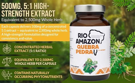 Rio Amazon Quebra Pedra Liver Detox And Support Supplements 500mg