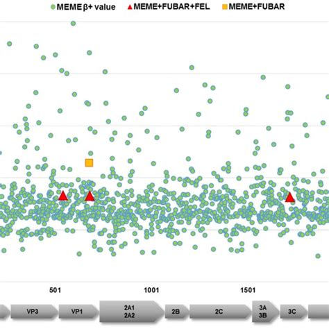 Results Of The Selection Constraint Analysis β Values Y Axis At Download Scientific Diagram