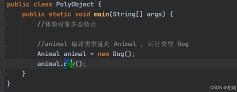 Java多态快速入门 Csdn博客