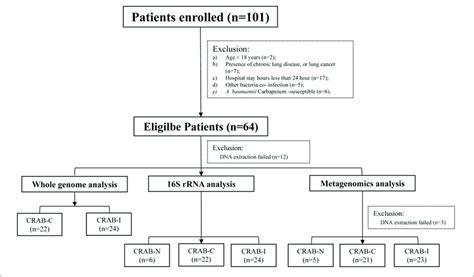 Flowchart Of The Patient Enrollment Process Download Scientific