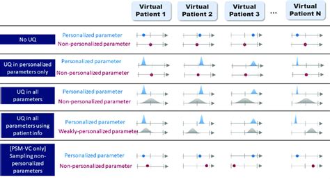 Five Example Uq Paradigms In Patient Specific Modeling The N Virtual