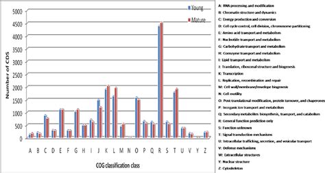 Clusters Of Orthologous Groups Cog Functional Classification Of Cds