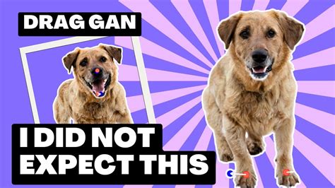 Draggan Next Level Image Editing Like Youve Never Seen Before Quick Demo Youtube