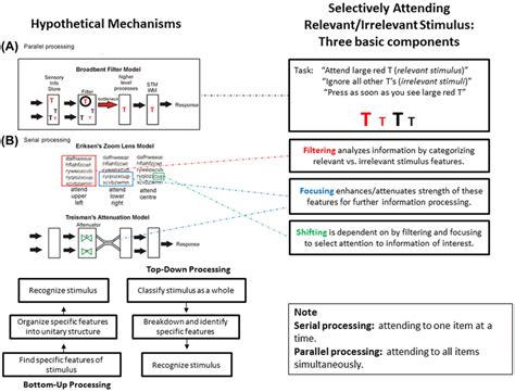 Illustration Of The Three Selective Attention Components And Underlying Download Scientific