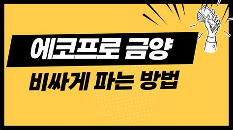 에코프로 금양 비싸게 파는 방법 Youtube