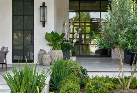 5 Plants To Display On Your Doorstep To Elevate Your Front Door Livingetc