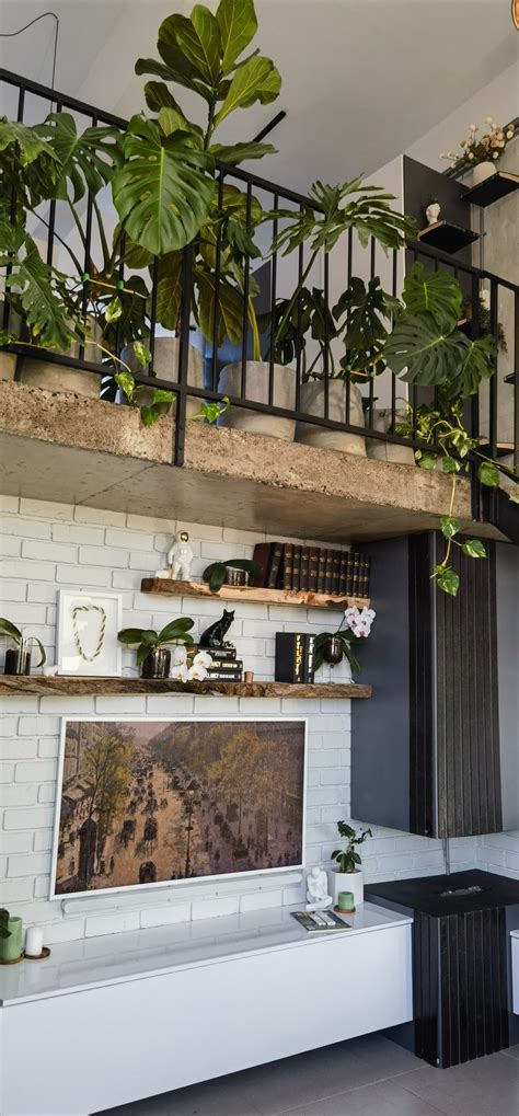 Loft Moderno Com Muitas Plantas Airbnb