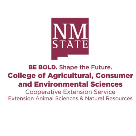 Nmsu Socorro County Cooperative Extension And 4 H Youth Development