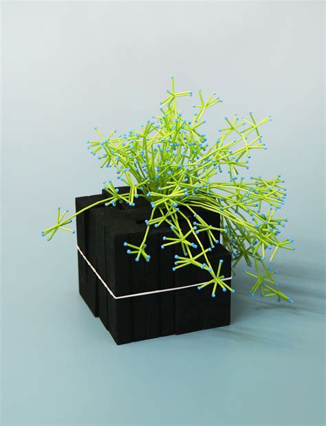 Dandelion — Doi Jaena