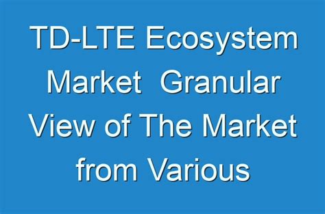 Td Lte Ecosystem Market Granular View Of The Market From Various End Use Segments 2017 2025