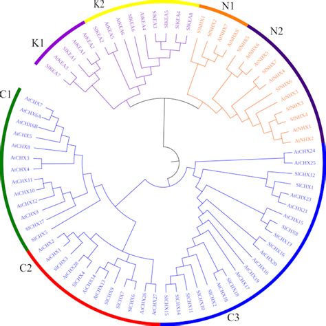 Do Biological Data Analysis And Visualization By Bioinformatics Tools By Zahiduos Fiverr
