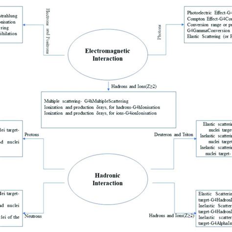 the models implemented in the geant4 package and used in the dose
