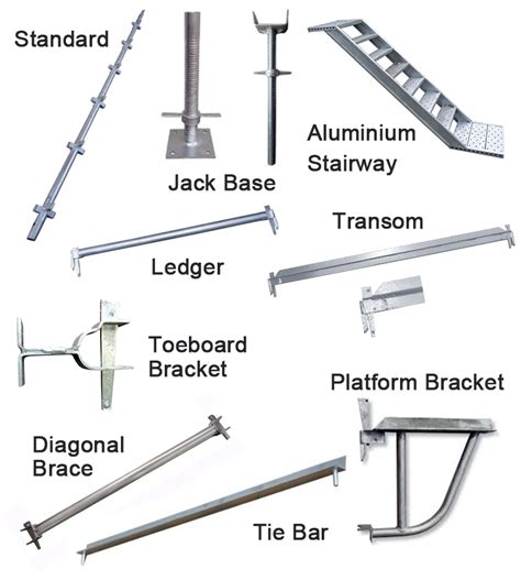 Scaffolding Definition Anatomy At Janelle Hernandez Blog