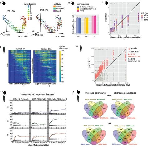Pdf Microbial Community Assembly And Metabolic Function During