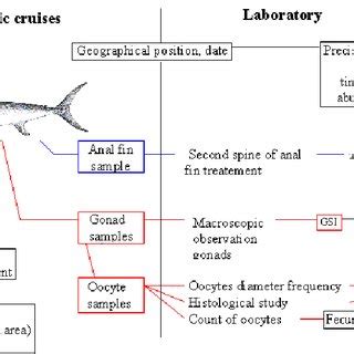Sampling System Scheme Download Scientific Diagram