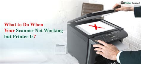 What To Do When Your Scanner Not Working But Printer Is Jack Richards Medium