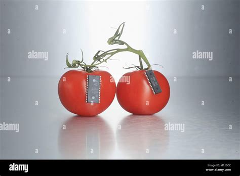 Ingegneria Sanitaria Immagini E Fotografie Stock Ad Alta Risoluzione