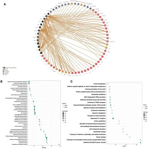 Integrated Knowledge Statistical Omics Based Network A Integrated Download Scientific