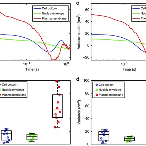 Schematic Of The Confocal Reflectance Interferometric Microscope Download Scientific Diagram
