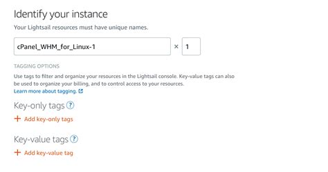 how to get started with cpanel on amazon lightsail cpanel