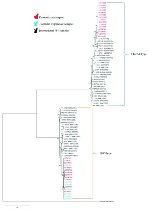 Maximum Likelihood Tree For SU Region Nucleic Acid Sequence The Download Scientific Diagram