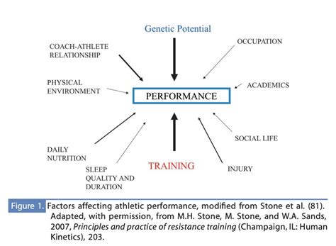 Strength Training For Endurance Athletes All You Need To Know Br Performance