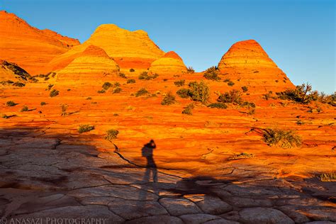 Coyote Buttes North And Willis Creek