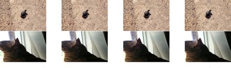 Figure 1 From Measuring Robustness To Natural Distribution Shifts In Image Classification