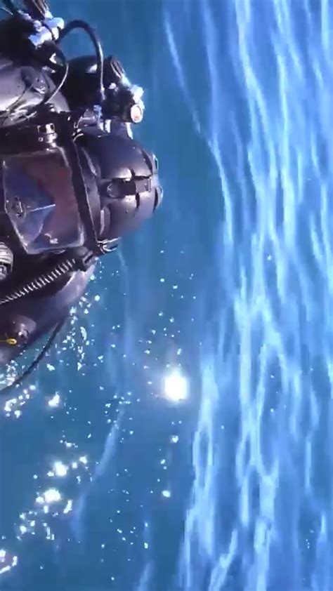 Exiting The Water After A Long Hard Dive Thisvid Com