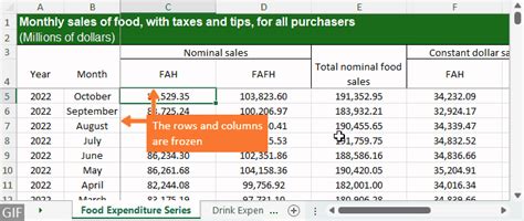 在 Excel 中凍結行和列（簡易教程）