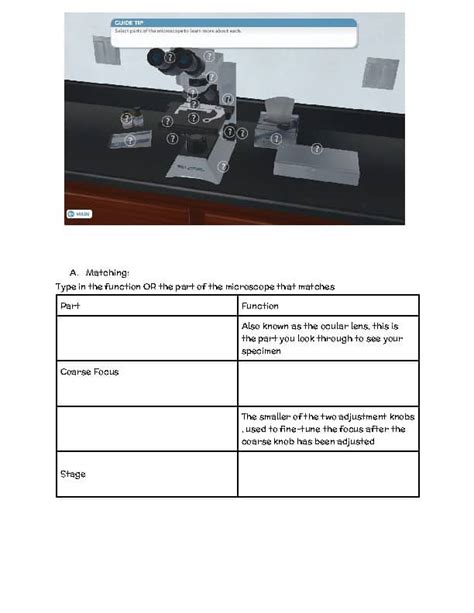 Introduction To The Microscope Virtual Lab Tpt