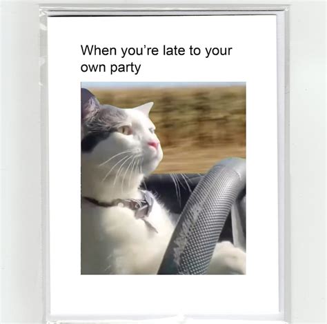 Driving Cat Meme Happy Birthday Card Viral Funny Joke Party Etsy