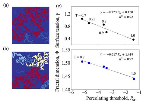 Color Online Percolation Network At A Random Instant At Temperature Download High Quality