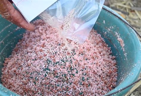 Smart Farming Solusi Bertani Ramah Lingkungan MSMB Indonesia Smart Farming