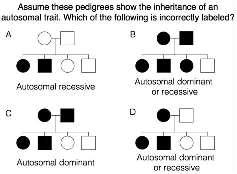 Solved Assume These Pedigrees Show The Inheritance Of Arn