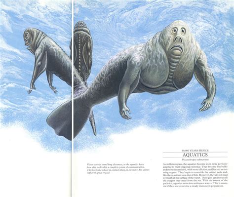 Dougal Dixon Man After Man An Anthropology Of The Future 1990 19