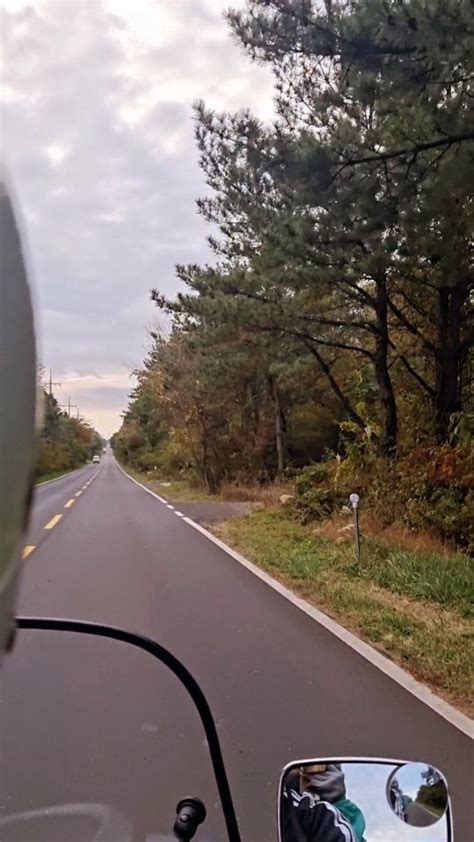 Mori And Poplar🌿 。 시간에 대해 생각한다 시간을 견뎌낸 것들 이를테면 그늘이 넓은 오래된 나무와 다시 찾아와도 그대로 남아 있는 풍경 서로의 어린 날을