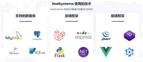 低代码快速应用开发软件RadSystems Studio破解版V 云创源码