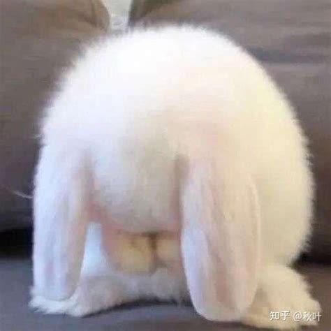 工作中，excel哪个功能最实用？ 知乎