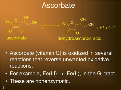 Ppt Section 10 Nutrients And Their Functions Powerpoint Presentation