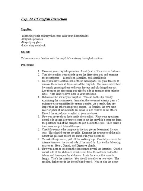 Pdf Exp 121 Crayfish Dissection Dokumentips
