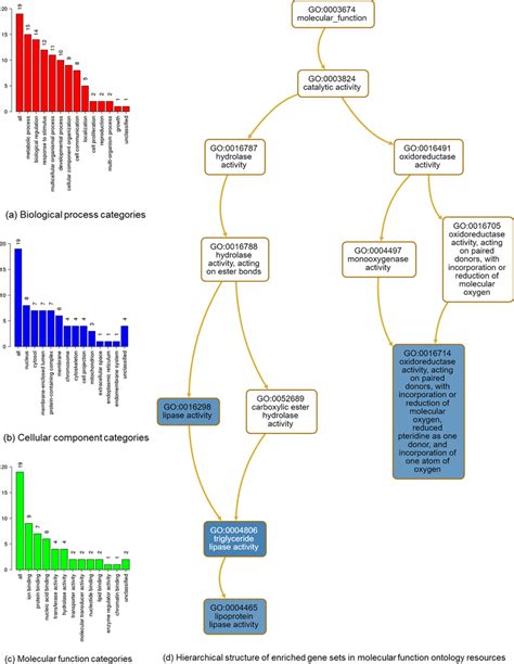 Categories Of Input Genes And Enriched Gene Sets Of Molecular Function