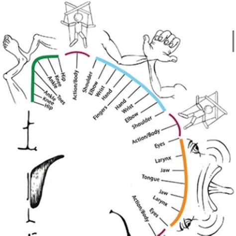 Consult Your Neurologist