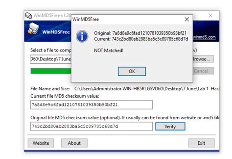 Lab Hashing Data Ian Neils Security Study Materials