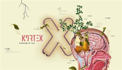 Kortex Identidade Visual On Behance