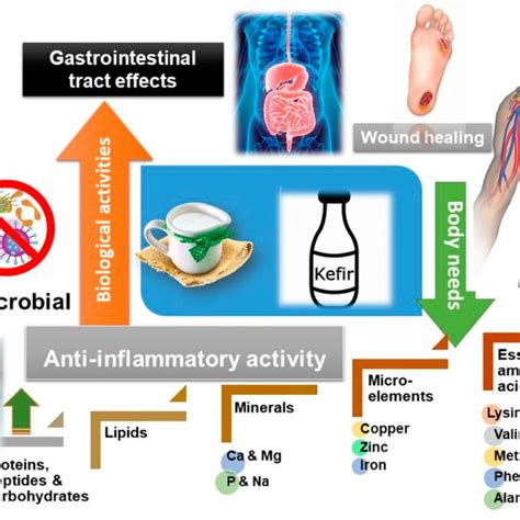 Biological Properties Nutritional Value And Macro And Micronutrient