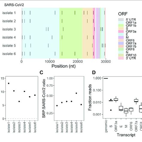 Selective Enrichment Of Trna Isodecoders In Sars Cov 2 Viral