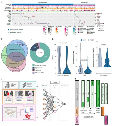 Nat Cancer 多模态数据整合预测肺癌患者对pd （l）1疗法的反应 知乎